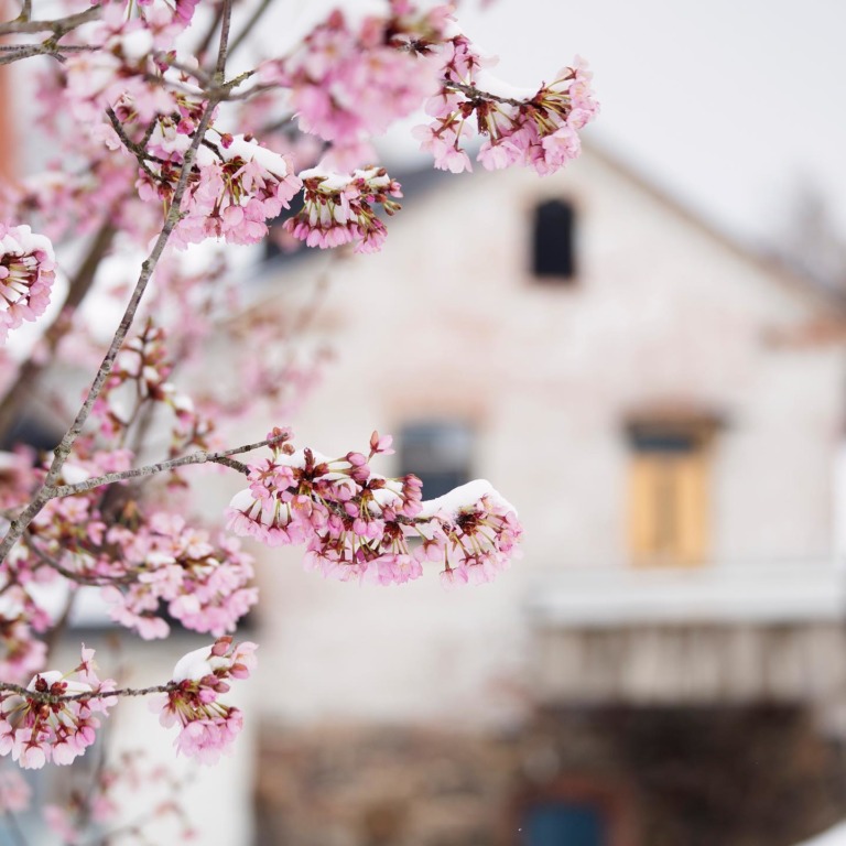 Tapahtumat - Billnäsin ruukki