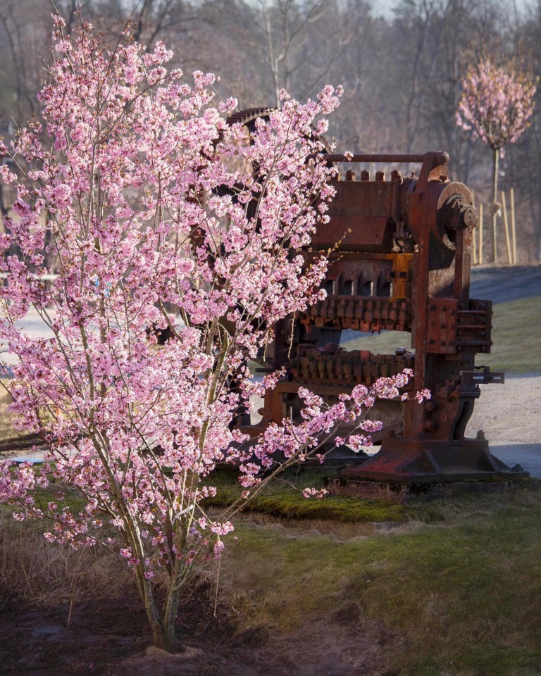 Etusivu - Billnäsin ruukki